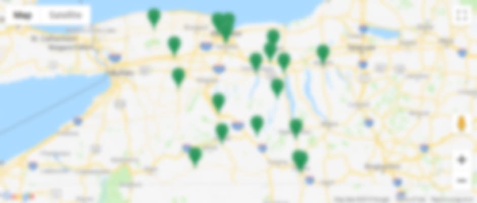 Rochester RHIO Participant Map